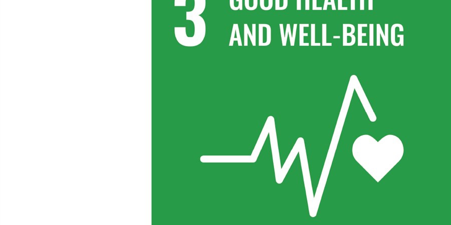 SDG 3 Good health and wellbeing | CBS