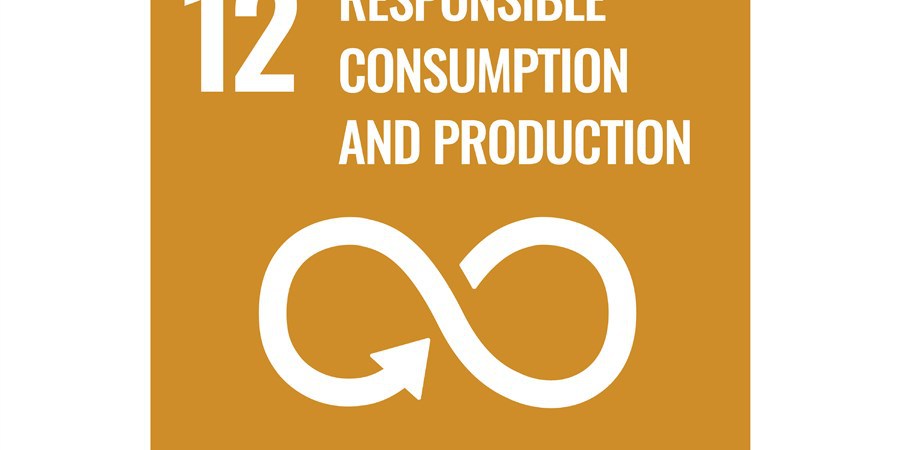 SDG 12 Responsible consumption and production | CBS