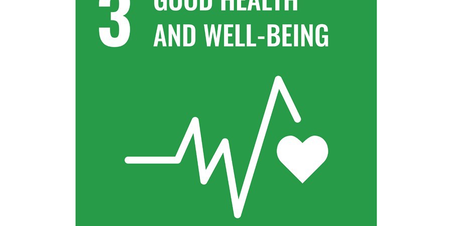 SDG 3 Good health and wellbeing | CBS