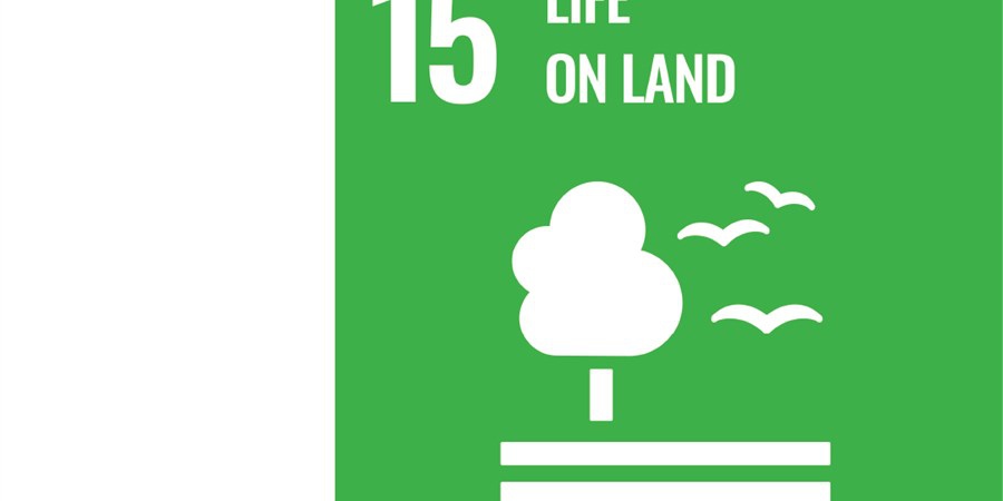 SDG 15 Life on land | CBS