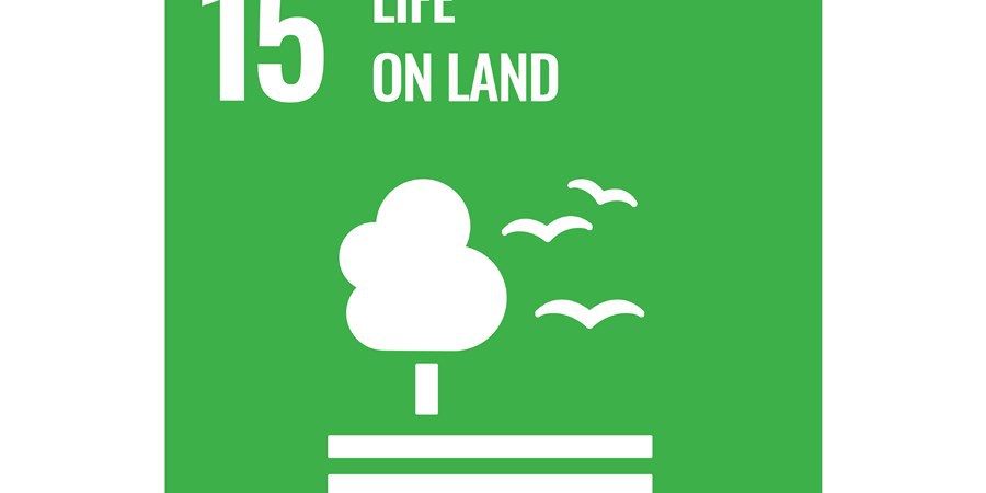 SDG 15 Life on land | CBS
