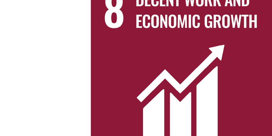 SDG 8.2 Labour and leisure time | CBS