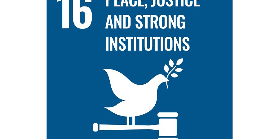 SDG 16 Peace, justice and strong institutions | CBS