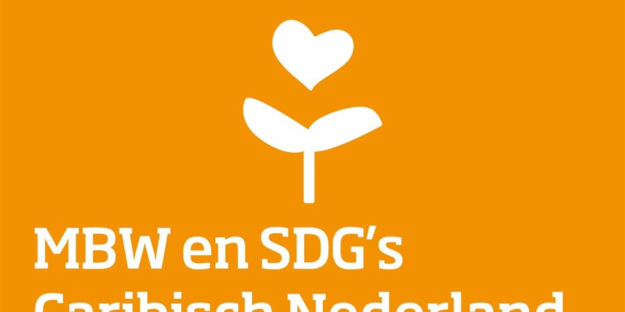 Monitor Brede Welvaart en SDG's Caribisch Nederland | CBS
